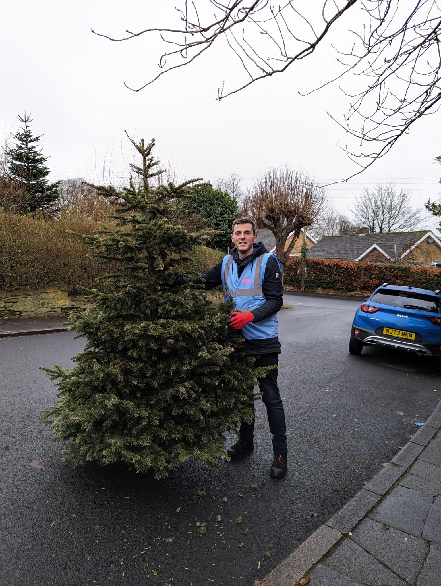 Just Helping, Treecycle, Recycle, Christmas Tree, Tynedale Hospice ...